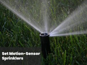 How To Get Rid Of Crows? 12 Easy Methods (With Pictures)