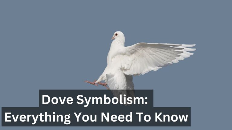 Dove Symbolism: Everything You Need To Know