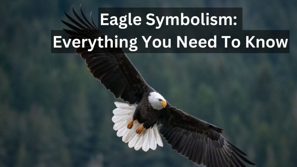 Eagle Symbolism: Everything You Need To Know