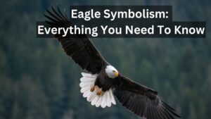 Eagle Symbolism: Everything You Need To Know
