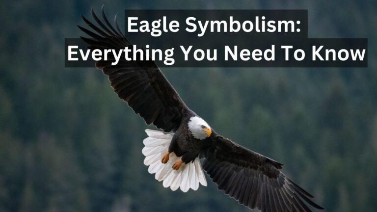 Eagle Symbolism: Everything You Need To Know