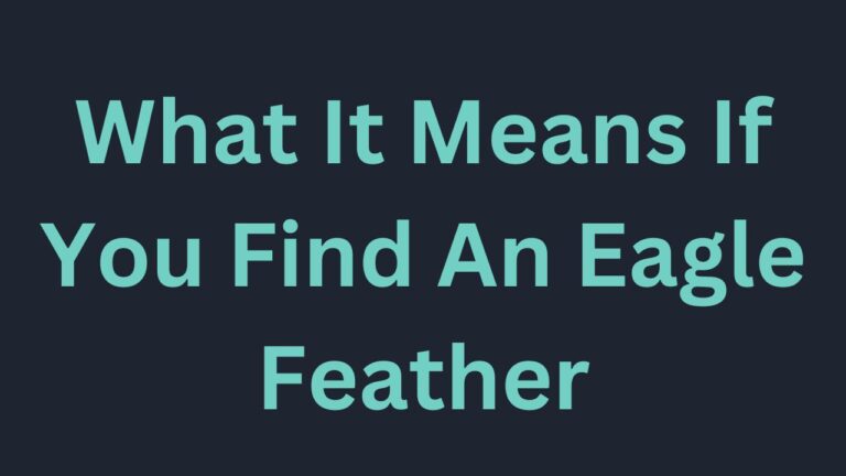 Eagle Symbolism: Everything You Need To Know
