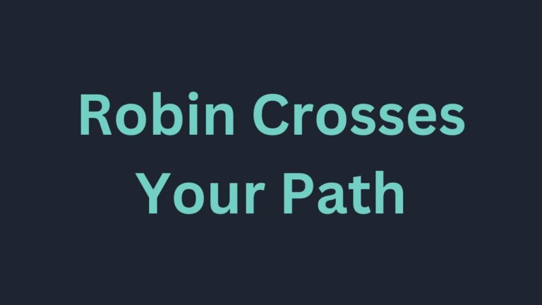 Robin Symbolism: Everything You Need To Know