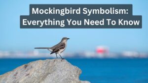 Mockingbird Symbolism: Everything You Need To Know