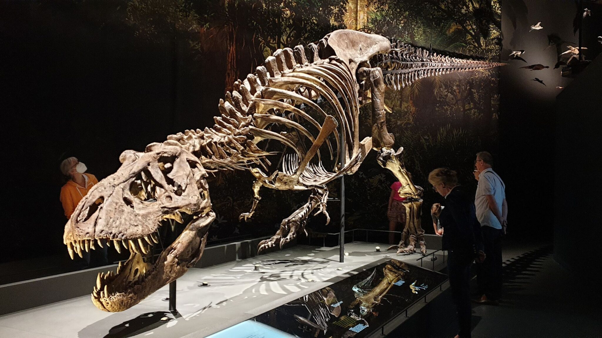 World's First Dinosaur Leather Handbags Made From T-Rex DNA are Coming Soon