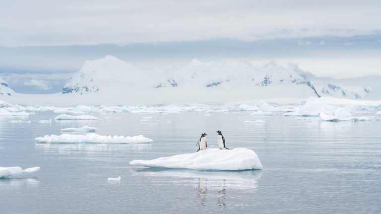 NASA Finds Lost Cold War City Beneath Greenland Ice NASA discover ...