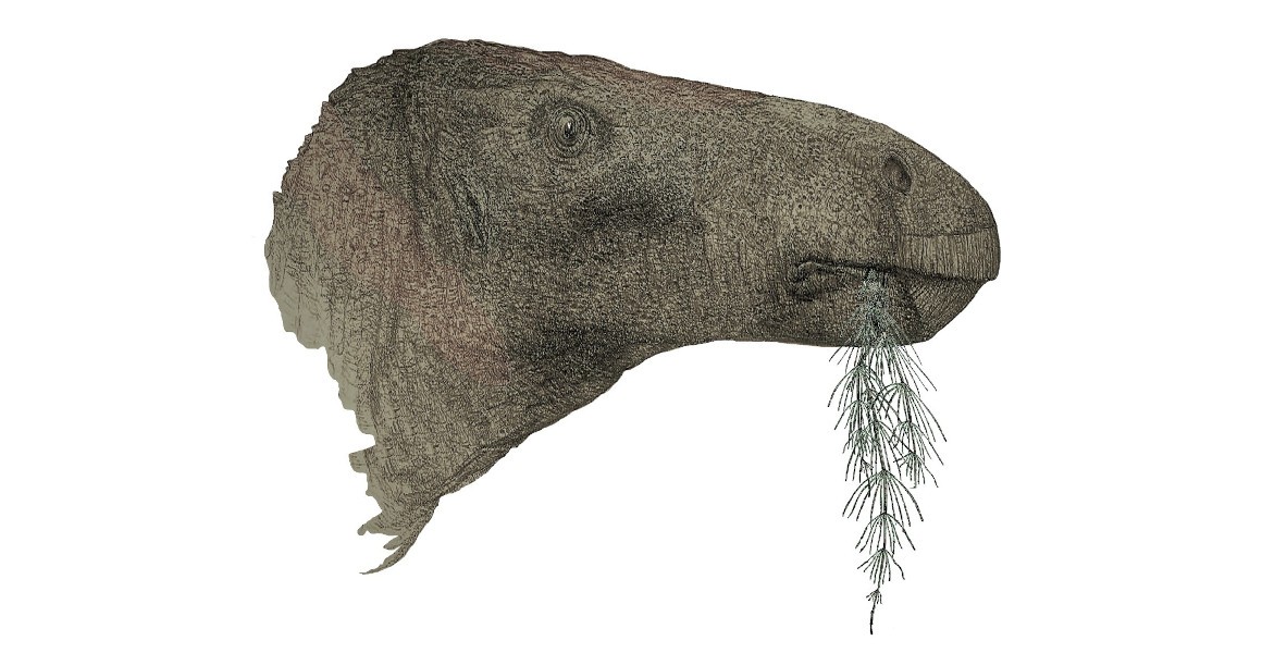 The UK Has Uncovered Its Most Complete Dinosaur Fossil in a Century ...