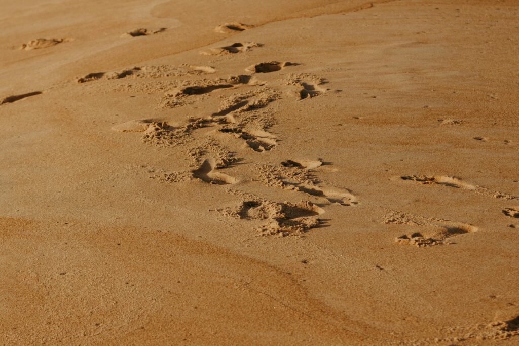 Indonesian Cave Discovery Rewrites the History of Art Researchers ...