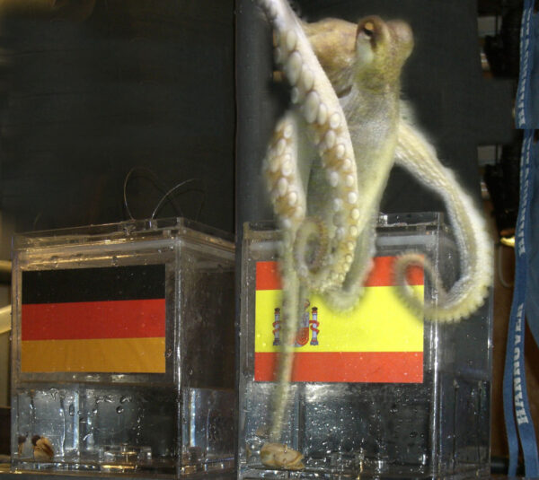 Remembering Paul the Octopus, Who Got Death Threats for His Perfect ...